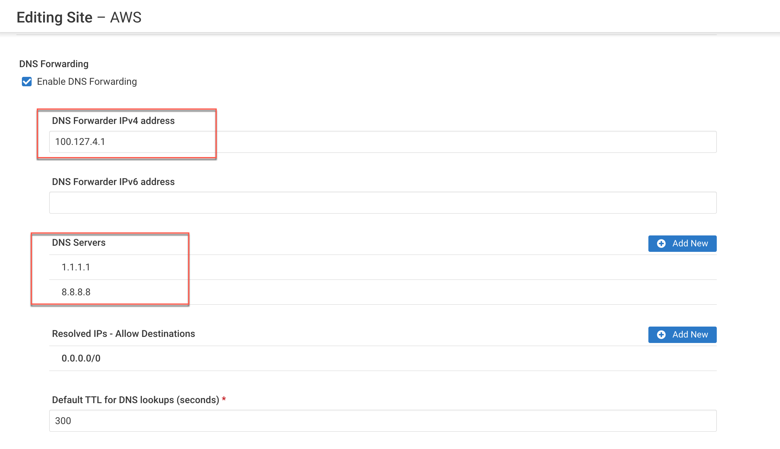 How to configure Appgate DNS forwarder